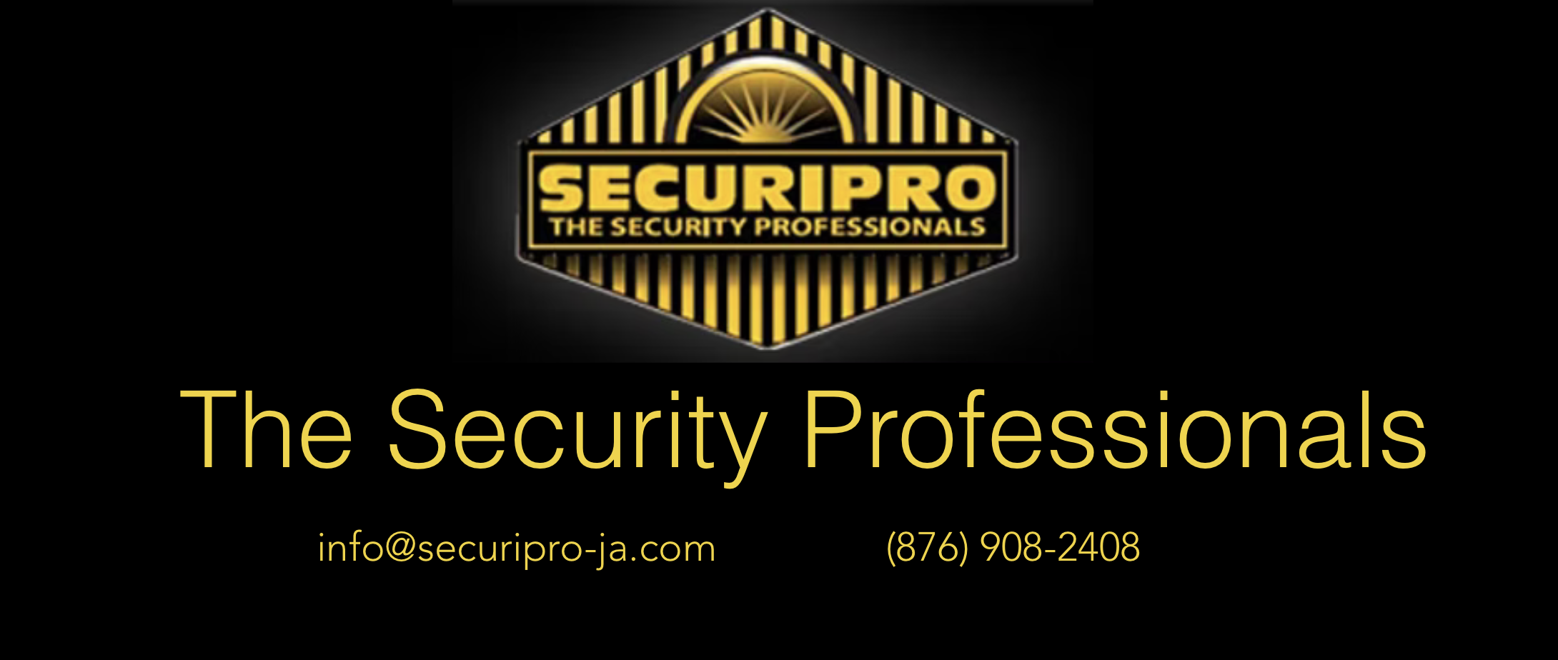 Best Security Companies In Jamaica (2026) - Ranked by Local Voters ...